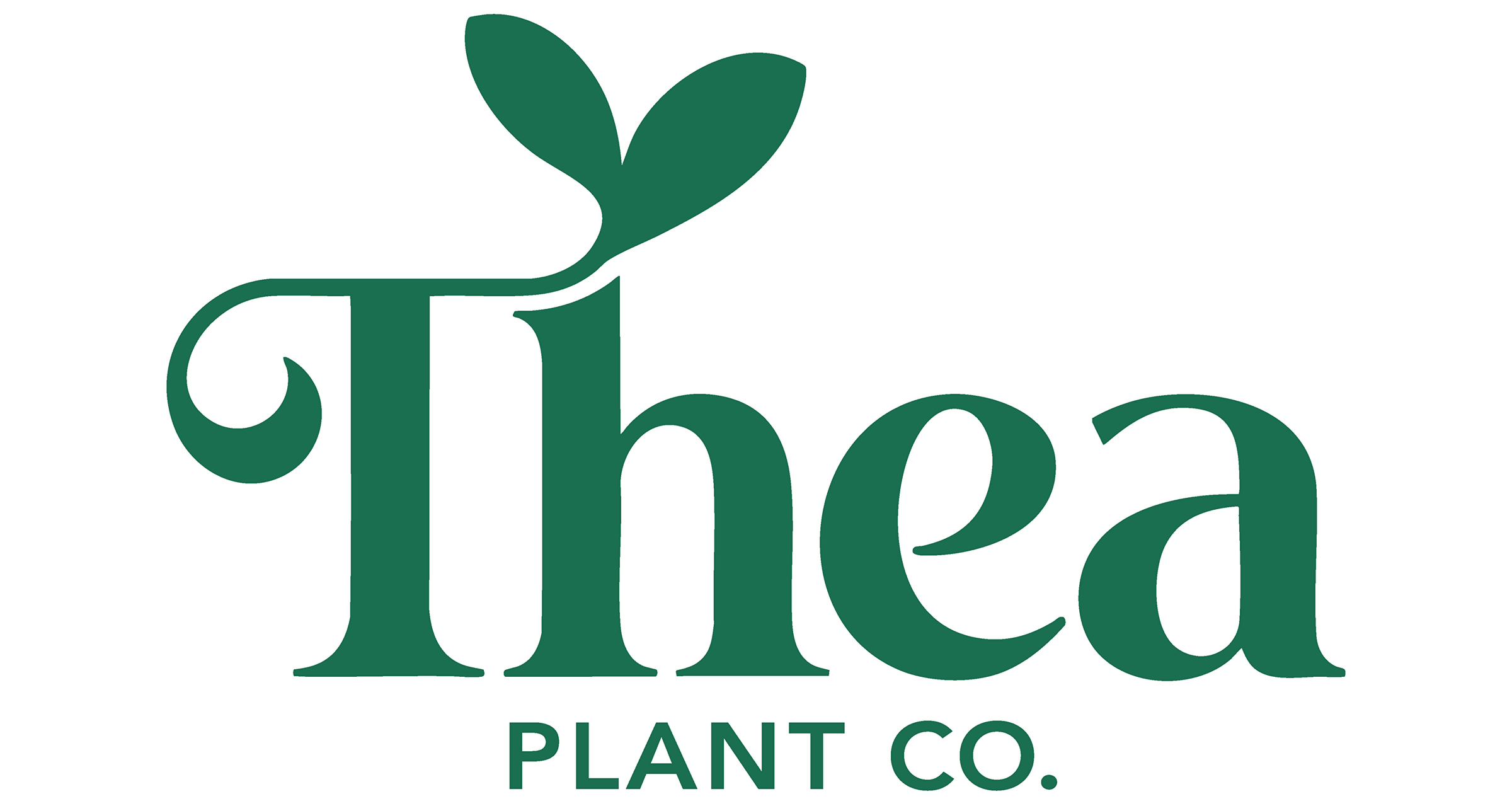 Providence's Plant Store - Plants, Pots, Soil, Delivery, Terrariums ...