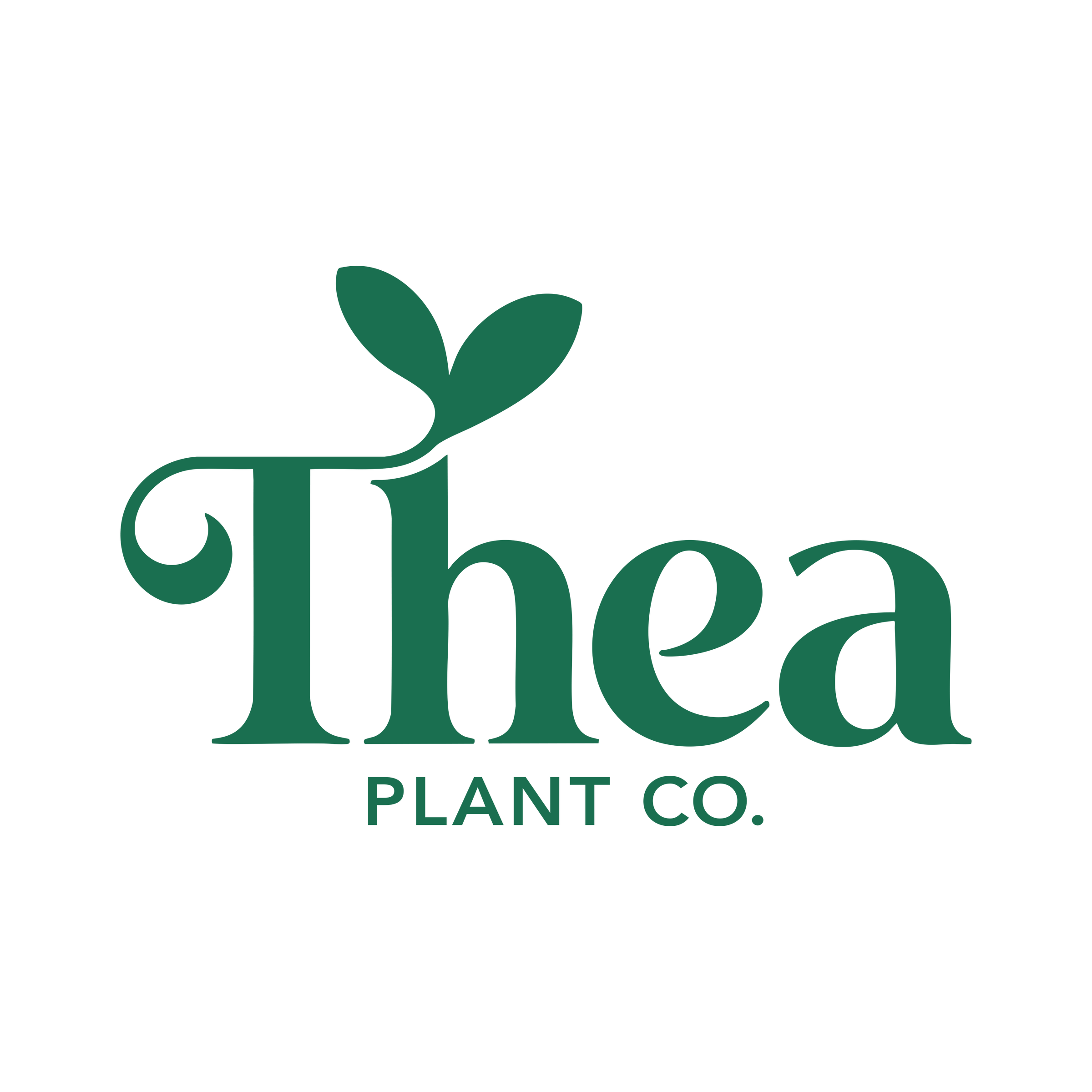 Providence's Plant Store - Plants, Pots, Soil, Delivery, Terrariums ...